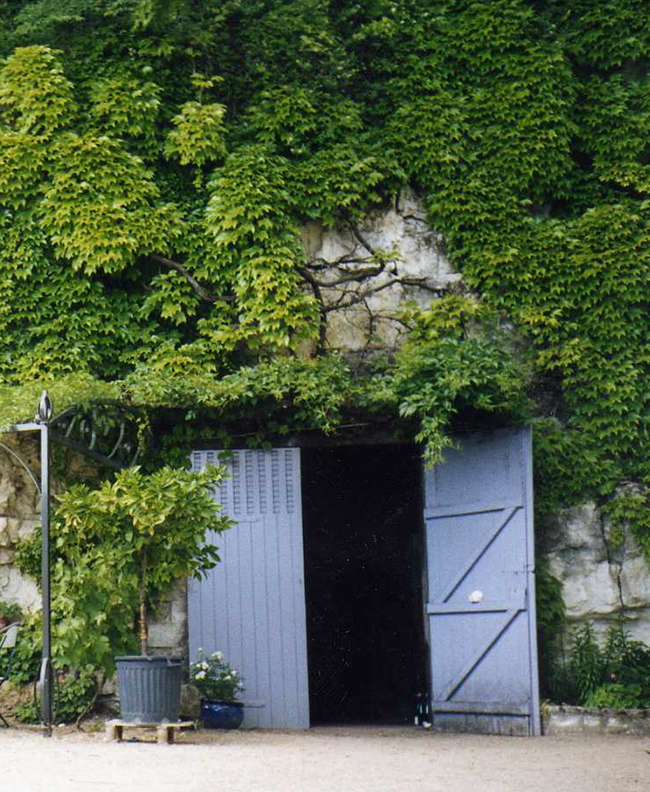 sensus wine | patrick lambert